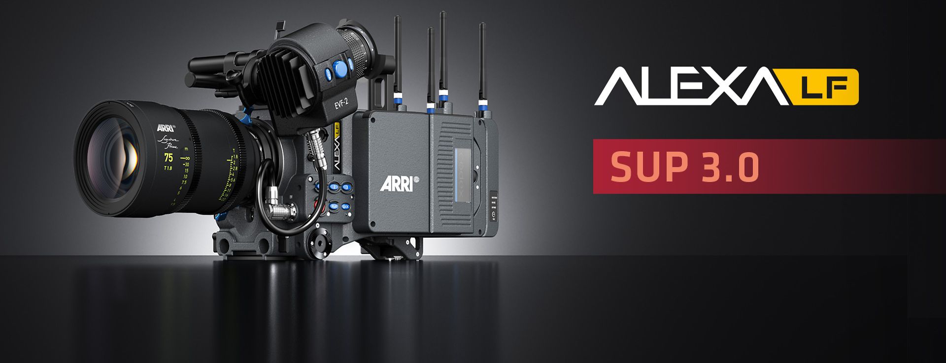 ALEXA LF SUP 4.0